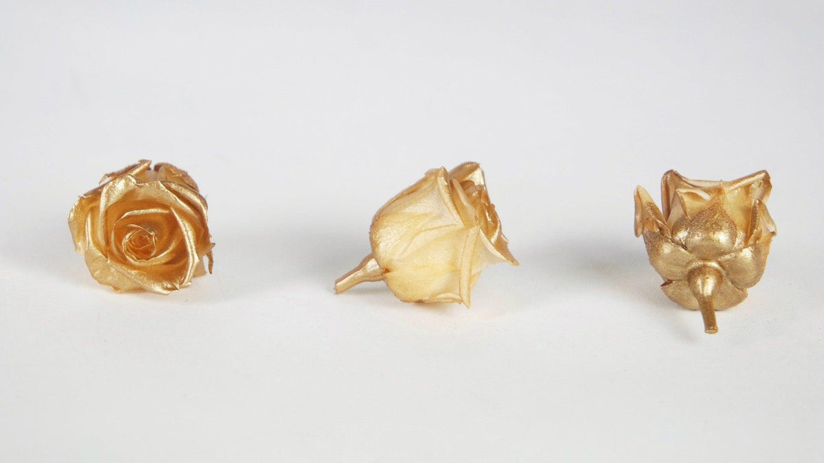 Preserved roses Kiara 2 cm - 12 rose heads - Gold – Si-nature